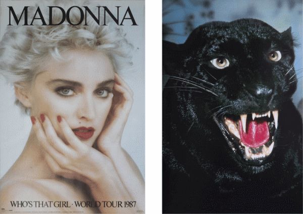 De Grote Versierder - posterkoning Engel Verkerke neemt mensen mee naar ...