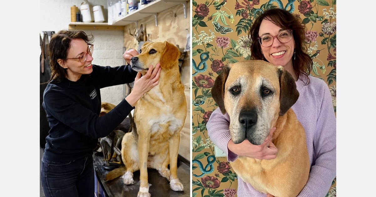 Een kijkje in de wereld van de taxidermie, met prijswinnend preparateur ...